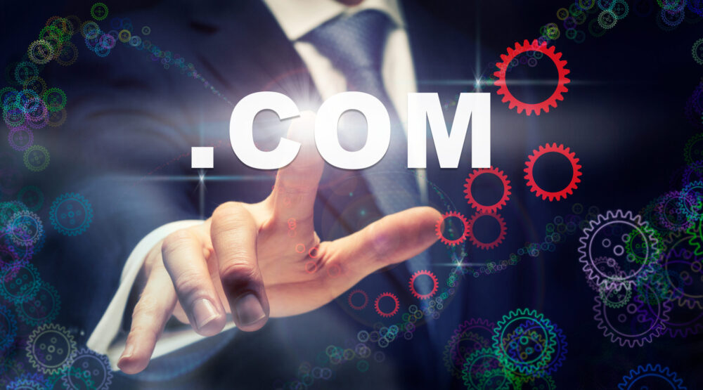 What Should I Do if I Encounter a Cybersquatter? | Ingber Law Firm